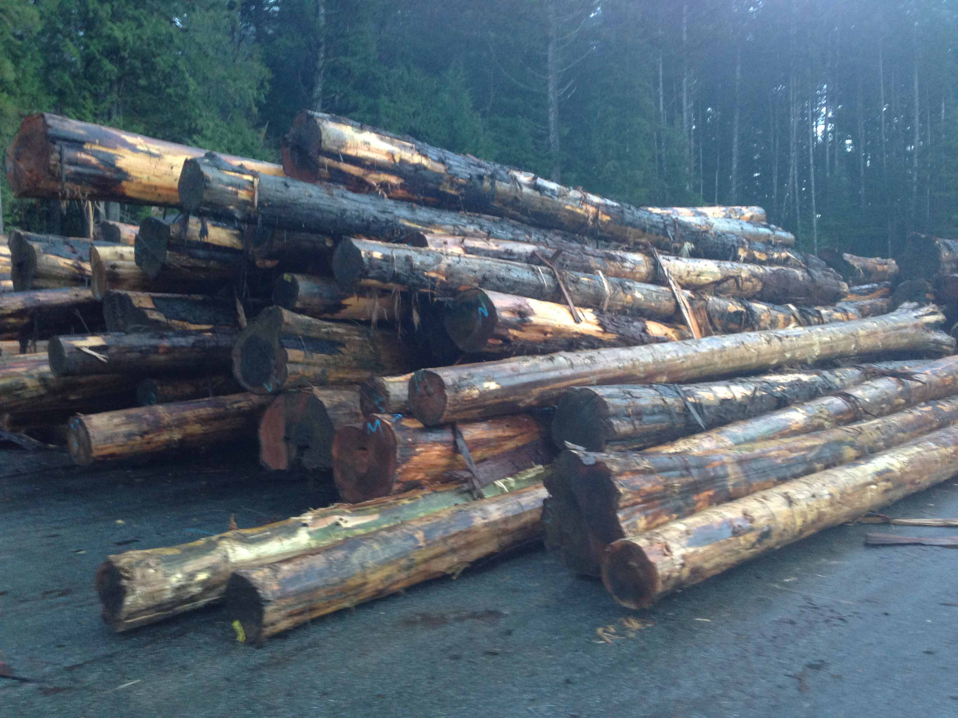 Responsibilities – Woodpecker Joinery